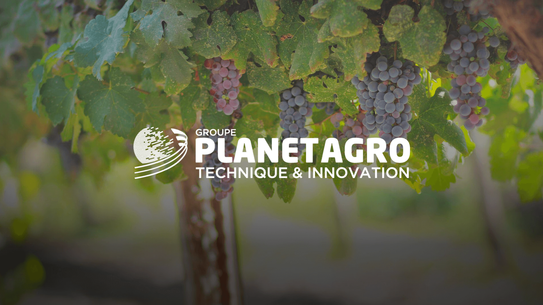 Solution d'irrigation goutte-à-goutte pour cultures hors-sol à Dakar | Planet Agro